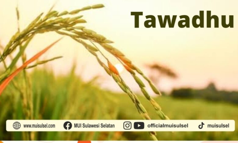 Tawadhu, Mengangkat Derajat - MUI Sul Sel